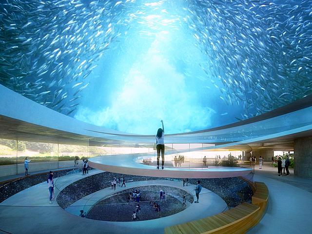 Museum of Spheres - Project | ODS