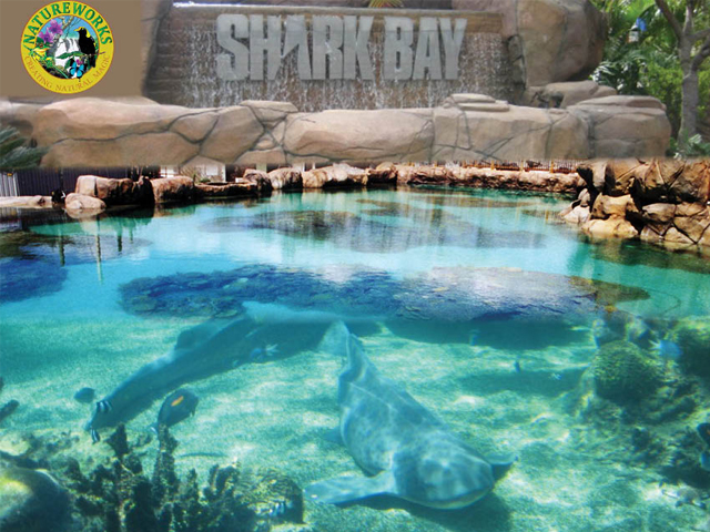 Shark Bay | Sea World Aquarium and Habitat Enclosure - Project | ODS