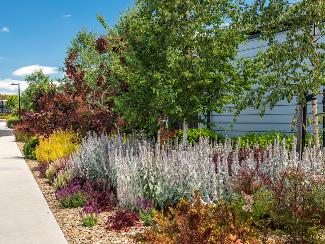 Tall Trees, Tall Lifestyle - Exemplary Project | ODS