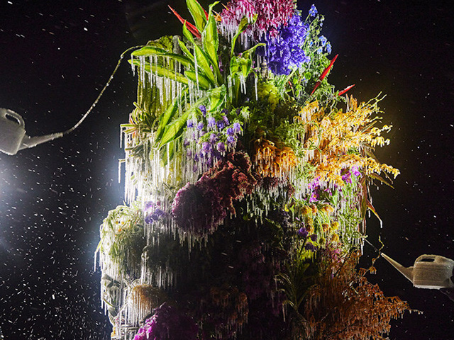 Frozen Flowers 2023 - Project | ODS