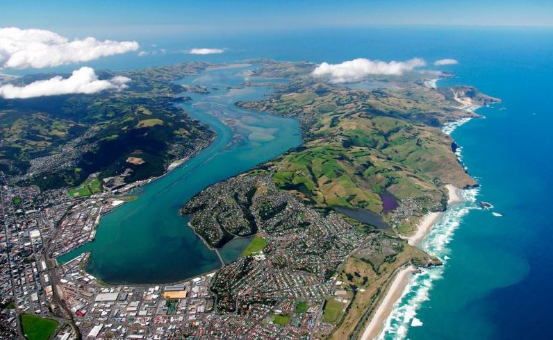 ChargeNet NZ – Electric Vehicle Charging Network