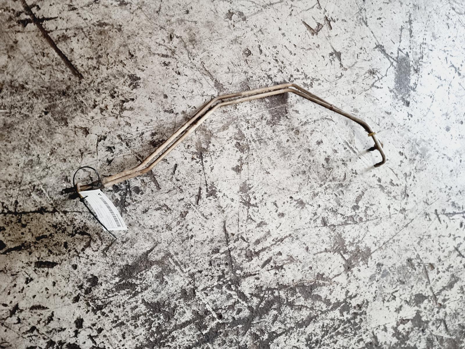 Trans Lines Commodore Holden 2009