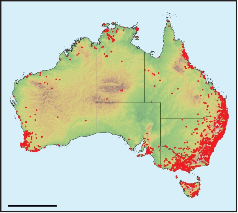 Help with identifying local frogs – Connecting Country