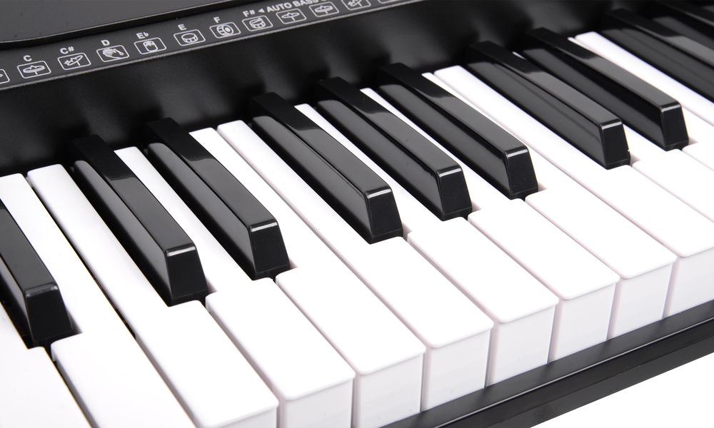 Container Door Ltd | Beginners 61-Key Electronic Keyboard Set
