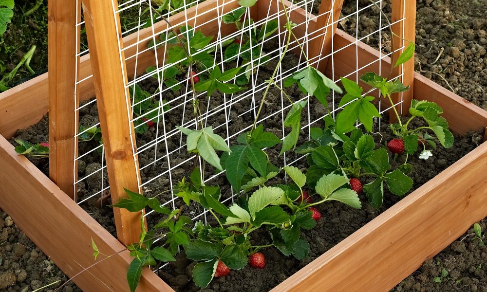 Container Door Ltd | Wooden Planter Box with Trellis #1