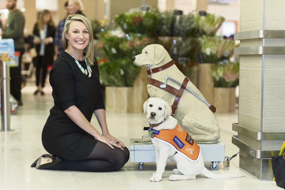 Mundaring shoppers among most giving to Guide Dogs Australia ...