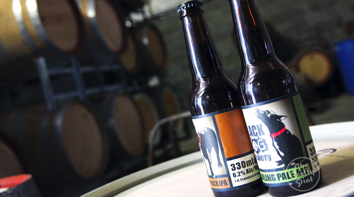 Brew & A: Black Dog Brewery - The Crafty Pint