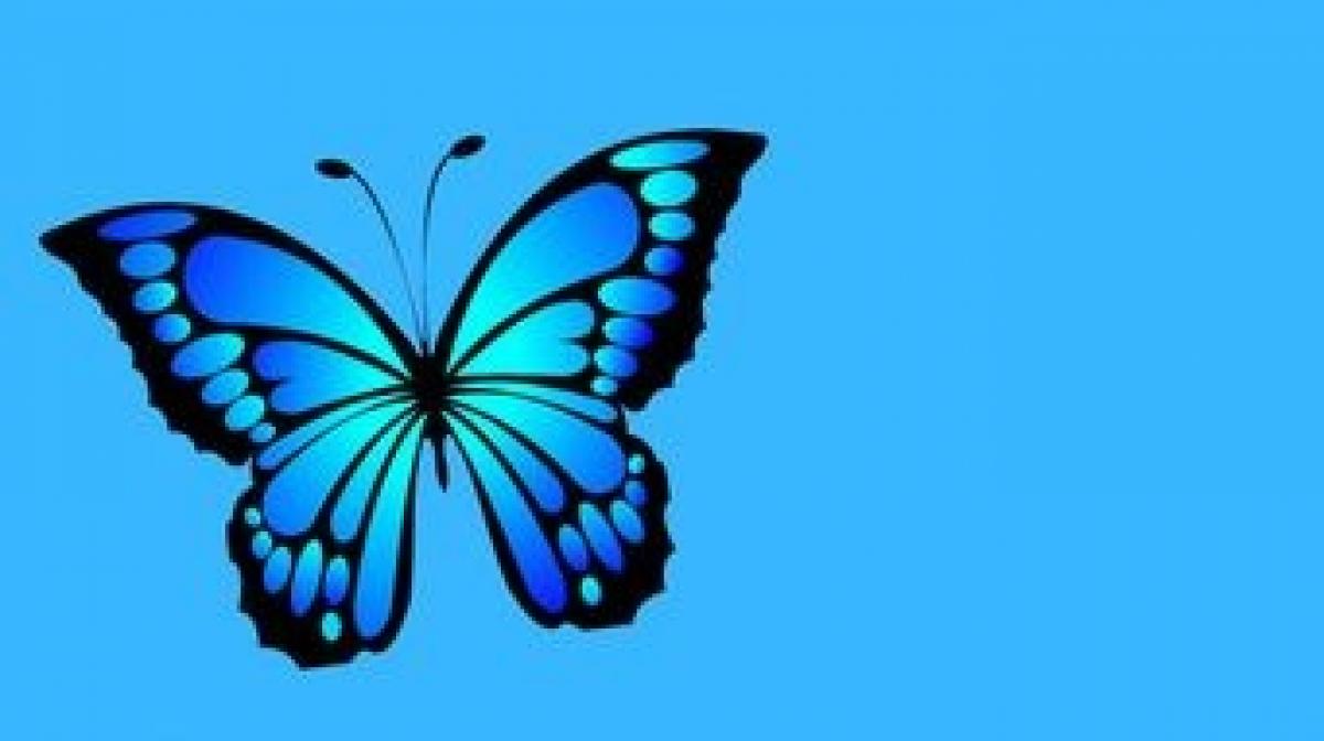Rhema Media