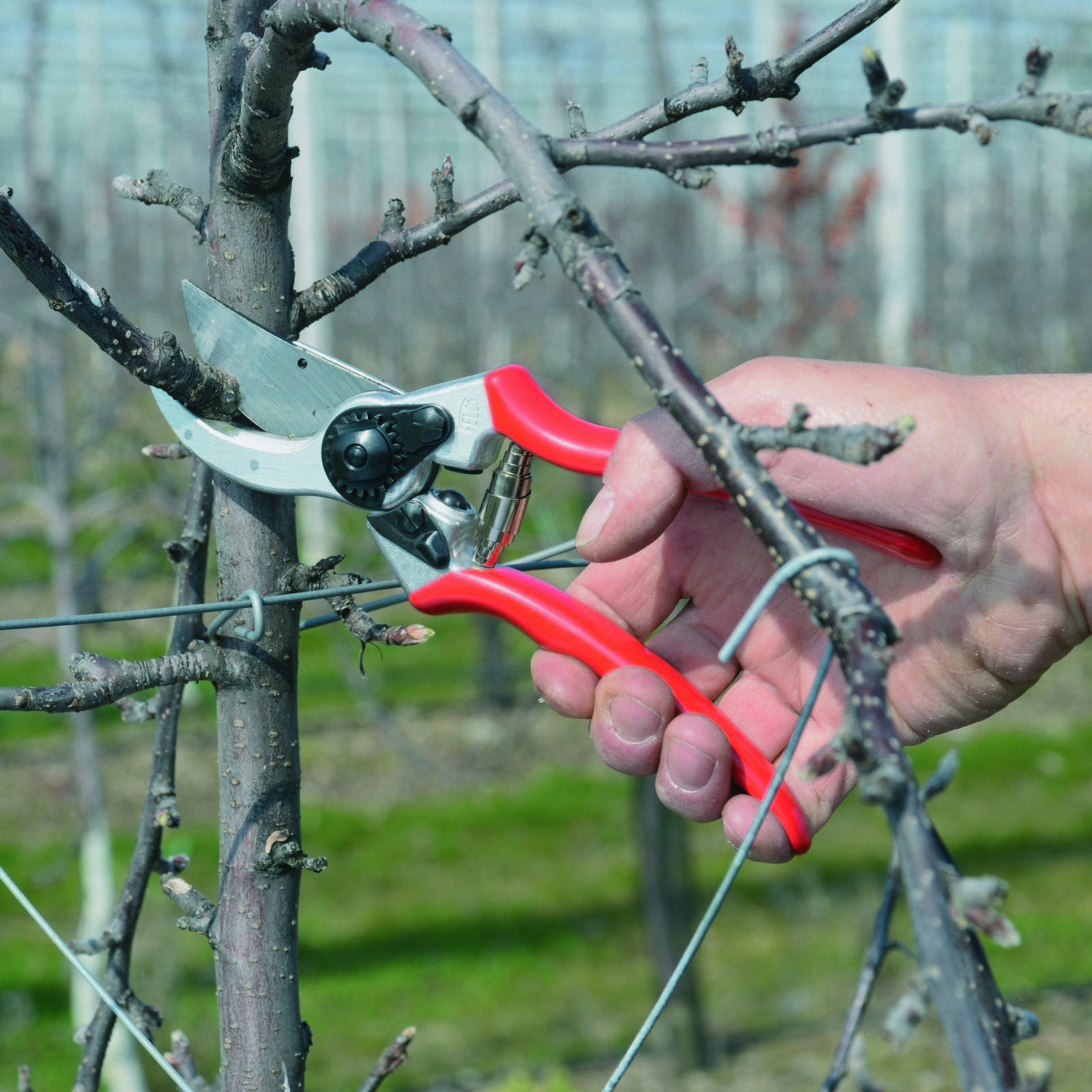 FELCO 2 Classic Pruning Shears / Secateurs Original Model Genuine Swiss ...