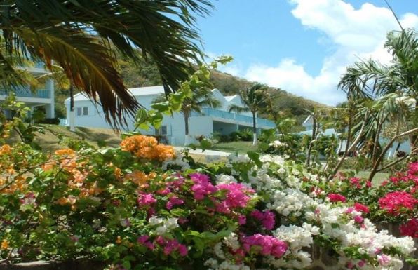Timothy Beach Resort-Saint Kitts and Nevis,Saint Kitts and Nevis ...