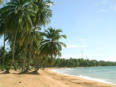 Club Cala De Palmas-Puerto Rico,San Juan - 7Across Resort Profile