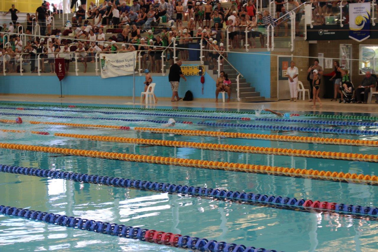 Primary School NIPPSA Swimming | Peter Moyes Anglican Community School