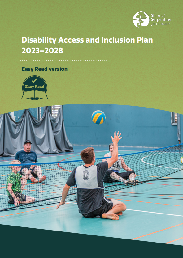 Disability Access and Inclusion Plan - Easy Read Format | Access and ...