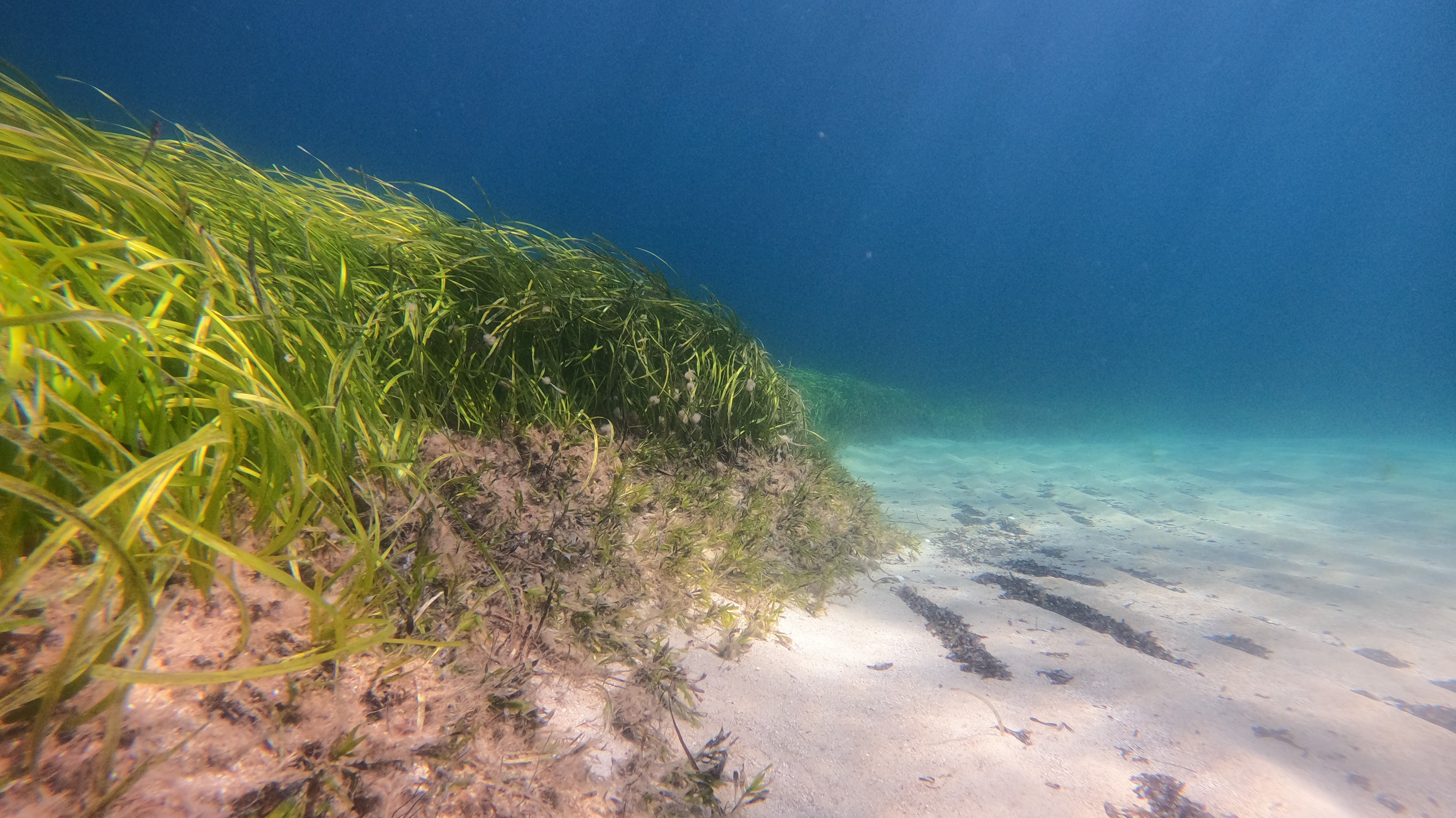 Dredge trial operations complete | Adelaide Beach Management Review ...