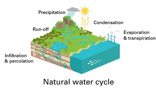 Water Geography online - Stage 4 Geography resources | Sydney Water Talk