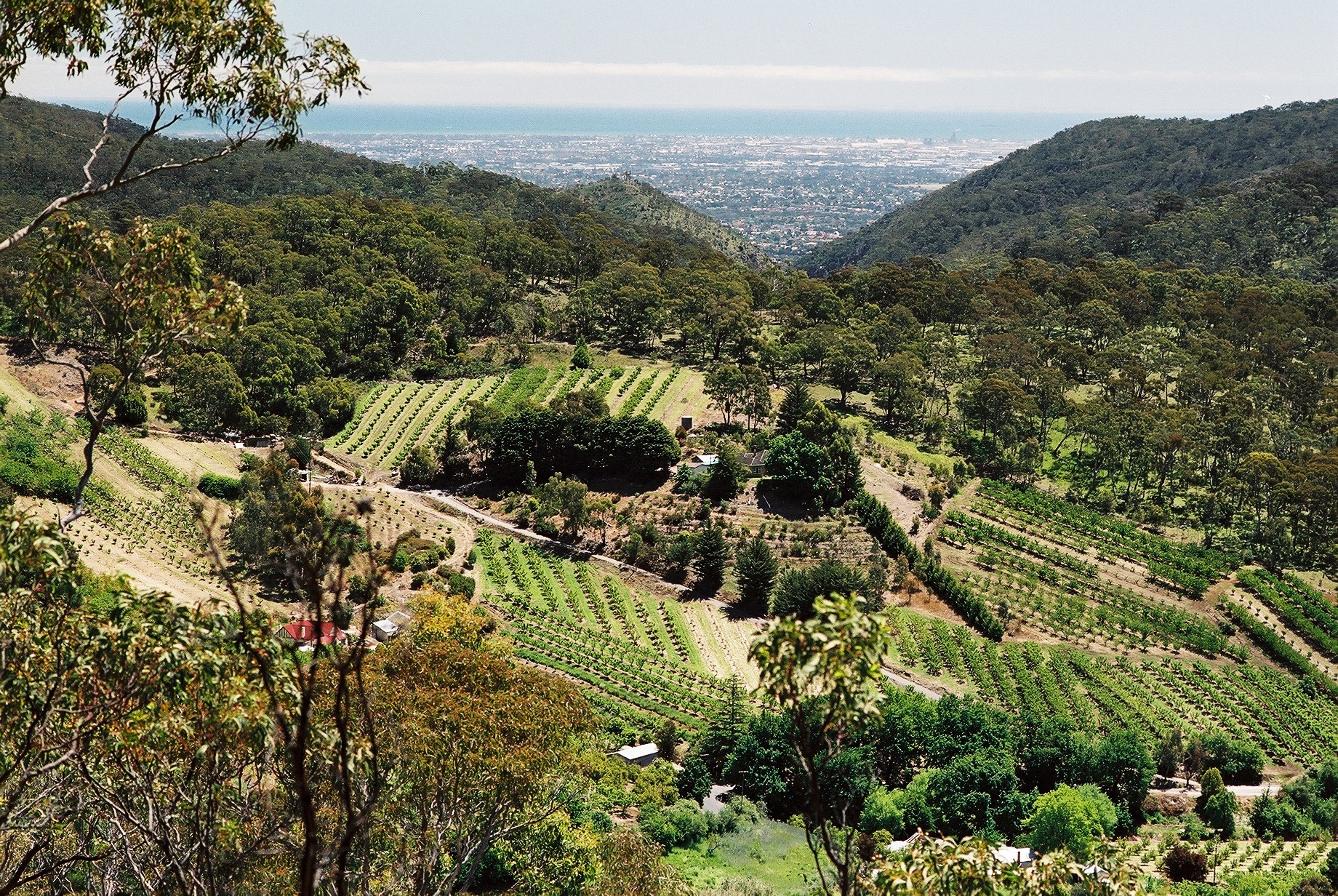 What you said | Adelaide and Mt Lofty Ranges Region NRM Business Plan ...