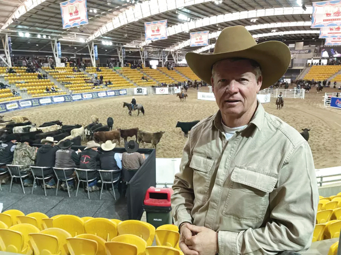 Celebrating 50 Years of the NCHA Futurity | News and Stories | Horse Deals