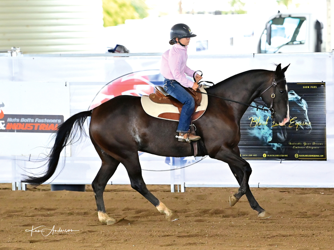 Dan Steers: Balancing Family & Horses | News and Stories | Horse Deals