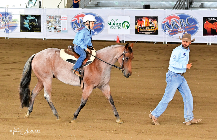 Dan Steers: Balancing Family & Horses | News and Stories | Horse Deals