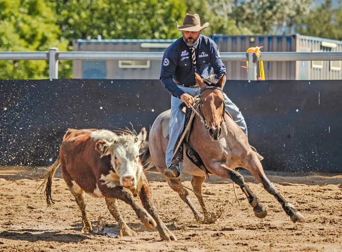 Dan Steers: Balancing Family & Horses | News and Stories | Horse Deals