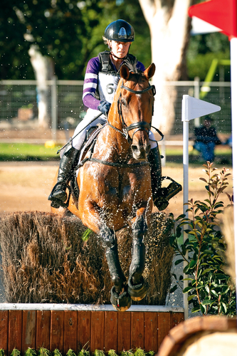 2024 Adelaide Equestrian Festival | News and Stories | Horse Deals