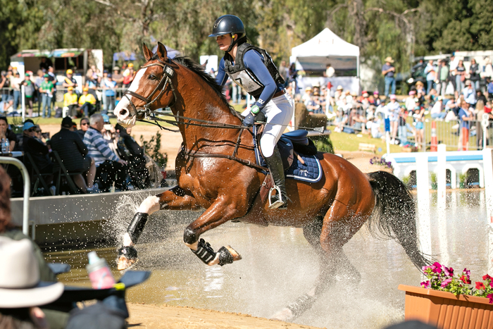 2024 Adelaide Equestrian Festival | News and Stories | Horse Deals