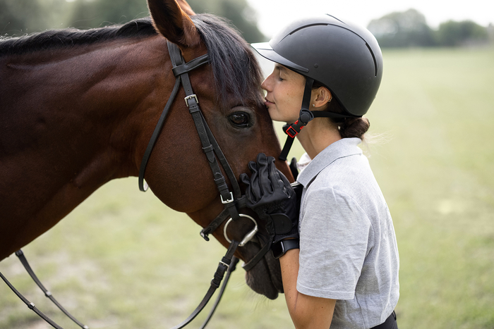 How Horses Help Humans in Everyday Life | News and Stories | Horse Deals