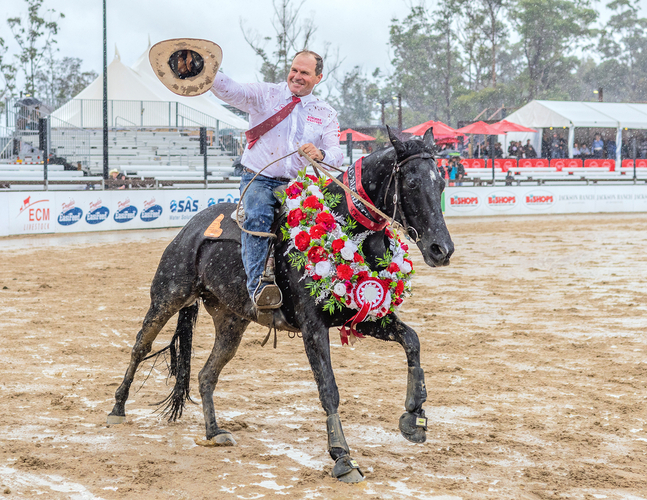 Mat Holz: Two-Time Willinga Park Gold Buckle Campdraft Winner | News ...