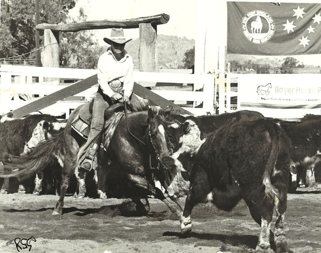Gail Ritchie: A Pioneering Female in Cutting Horse Industry | News and ...