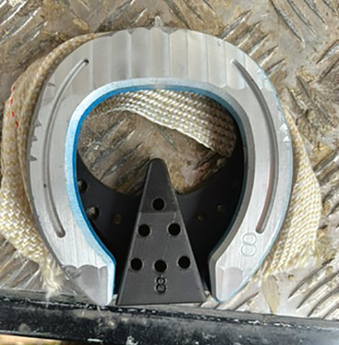 Products to Help Your Horse’s Hooves | News and Stories | Horse Deals