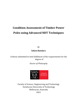 Item - Condition Assessment of Timber Power Poles using Advanced NDT ...
