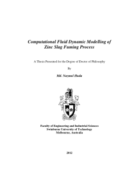 Computational fluid dynamic modelling of zinc slag fuming process