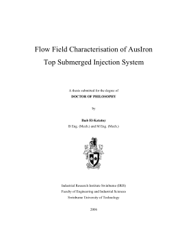 Flow field characterisation of AusIron top submerged injection system