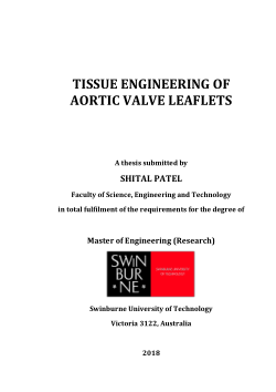 Tissue engineering of aortic valve leaflets