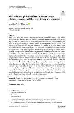 What is this thing called misfit? A systematic review into how employee ...