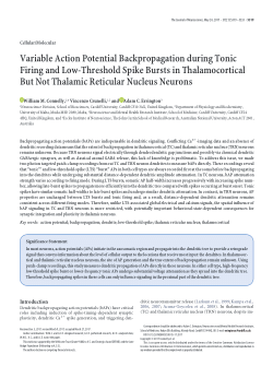 Variable action potential backpropagation during tonic firing and low ...