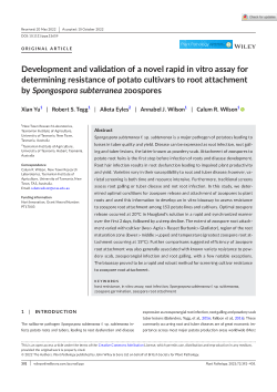 Development and validation of a novel rapid in vitro assay for ...