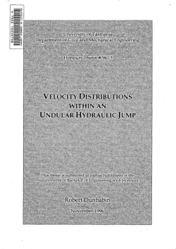 Velocity distributions within an undular hydraulic jump