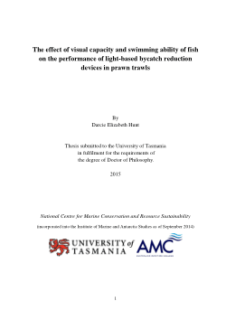 The effect of visual capacity and swimming ability of fish on the ...