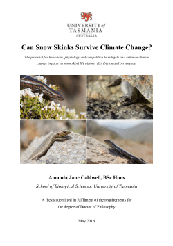 Can snow skinks survive climate change? : The potential for behaviour ...