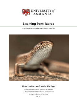 Learning from lizards : the causes and consequences of plasticity
