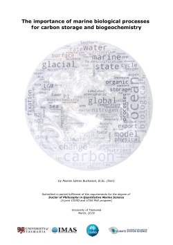 Item - The importance of marine biological processes for carbon storage ...