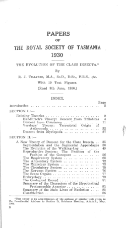 The evolution of the class Insecta