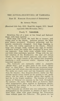 Item - The Diptera-brachycera of Tasmania. Part II - University of ...