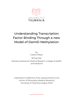 Item - Understanding transcription factor binding through a new model ...
