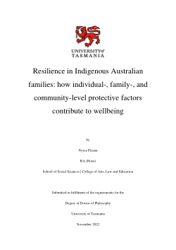Resilience in Indigenous Australian families : how individual-, family ...