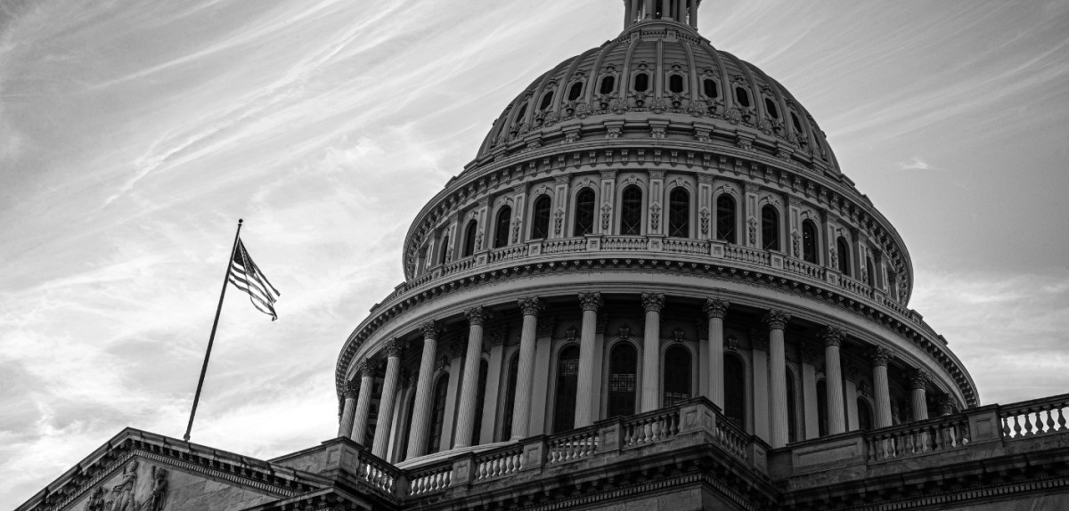 Trumpoline - Wilsons Advisory