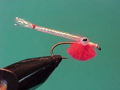 Egg sac fly | fishonfly.com.au