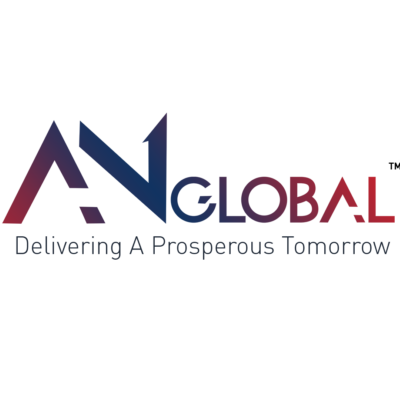 AN Global Consulting