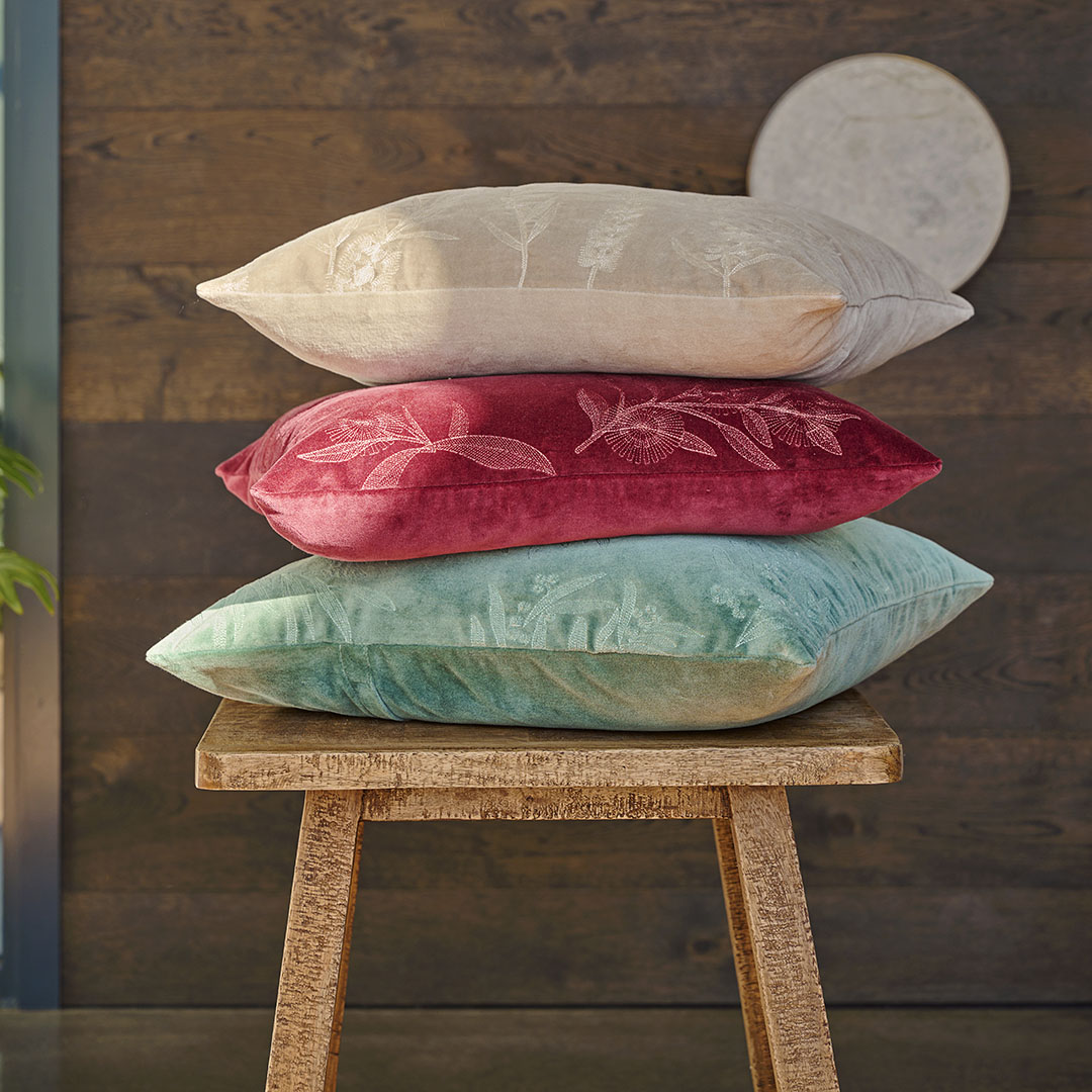 Buy Wattle Velvet Cushion Online | Bed Bath N' Table